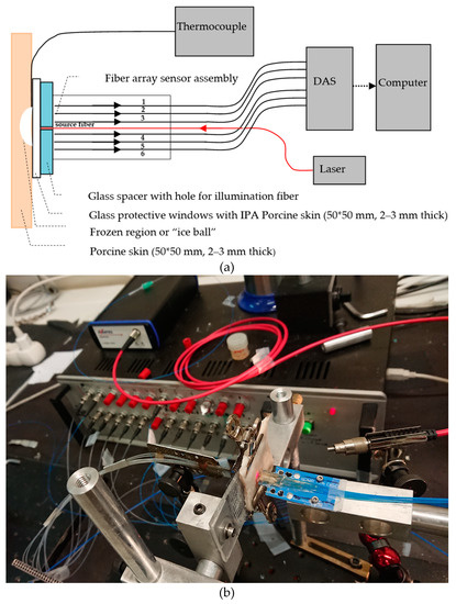 A Fiber Optic Sensor for Monitoring the Spectral Alterations and Depth ...