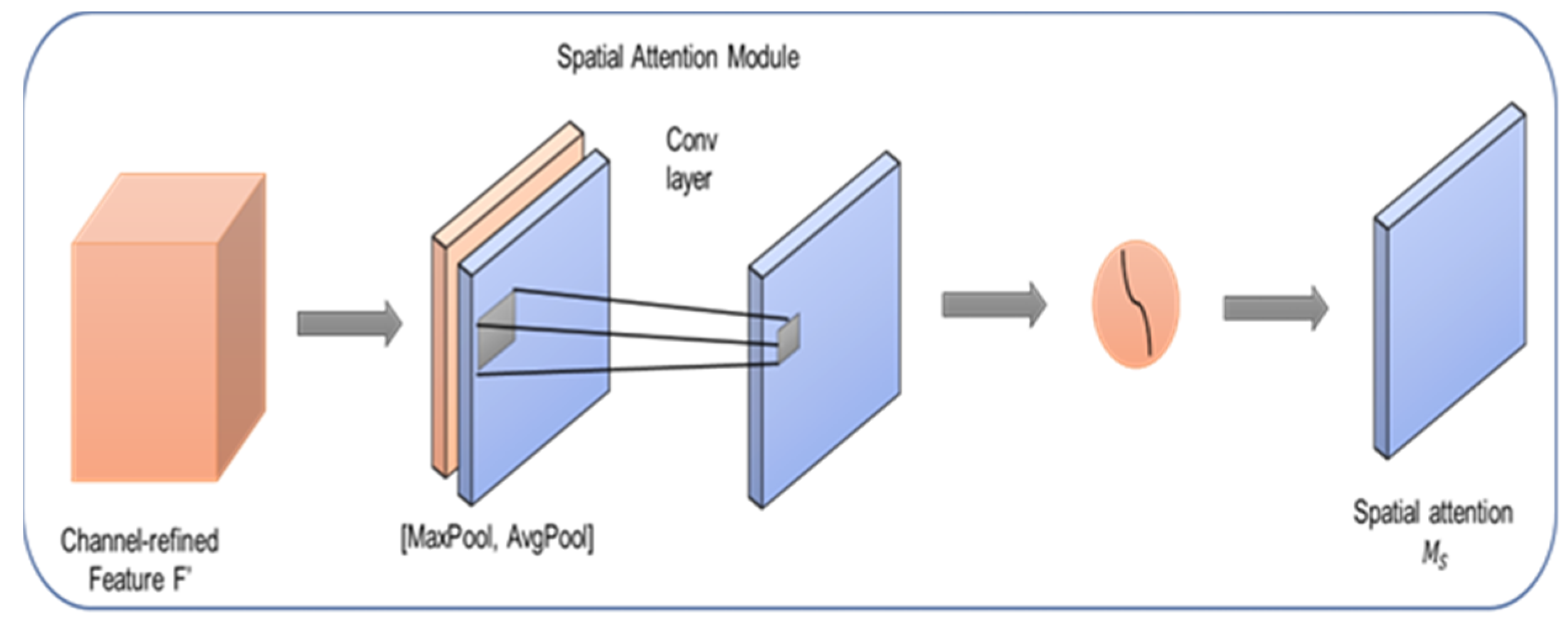 Self-Supervised Wavelet-Based Attention Network for Semantic Segmentation of MRI Brain Tumor