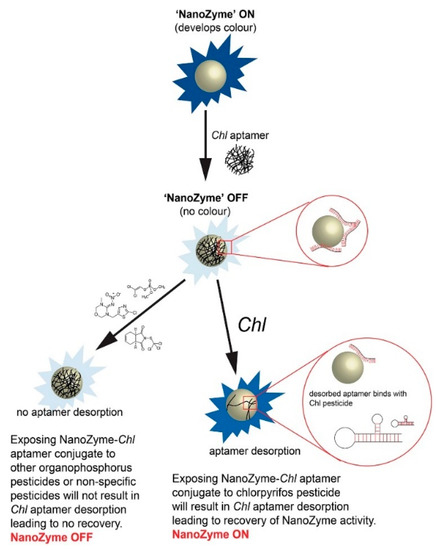 Colorimetric Sensors for Chemical and Biological Sensing Applications