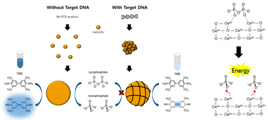 Colorimetric Sensors for Chemical and Biological Sensing Applications