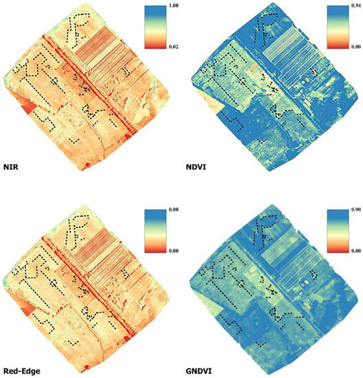 Sensors | Free Full-Text | Multispectral UAV Data and GPR Survey for ...