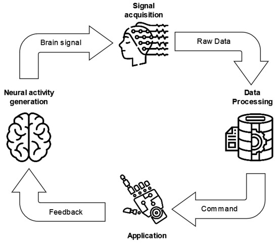 Sensors | Free Full-Text | EEG-Based BCIs on Motor Imagery Paradigm ...