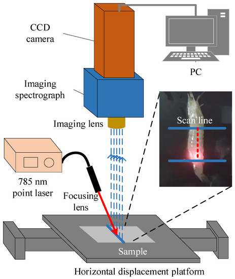 Spatially Offset Raman Spectroscopy Combined with Attention-Based LSTM ...
