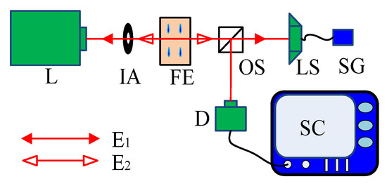 Sensors | Free Full-Text | A Novel Method for Detecting Fe2+ at a ...