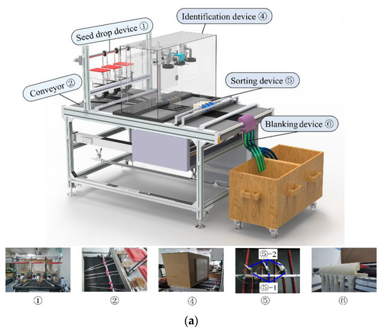 Classification of Fluorescently Labelled Maize Kernels Using Convolutional Neural Networks