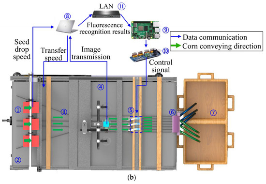 Classification of Fluorescently Labelled Maize Kernels Using Convolutional Neural Networks