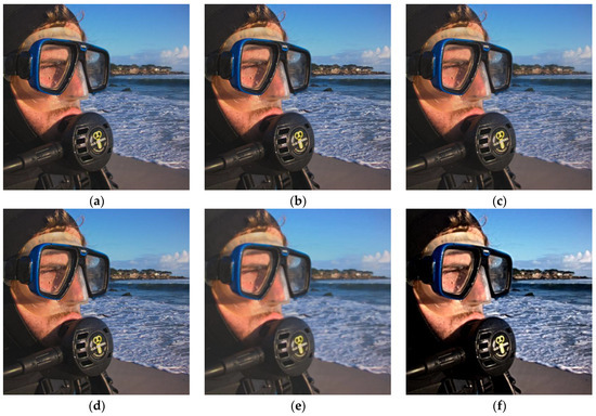 Sparse Representation-Based Multi-Focus Image Fusion Method via Local ...