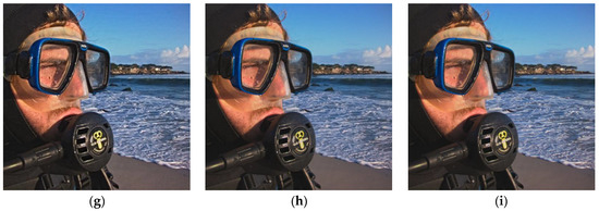 Sparse Representation-Based Multi-Focus Image Fusion Method via Local Energy in Shearlet Domain