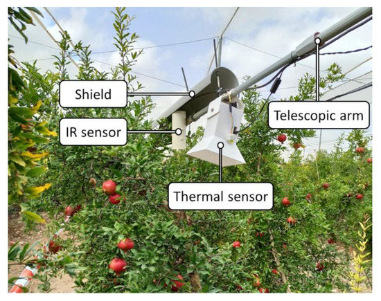 Automatic Crop Canopy Temperature Measurement Using a Low-Cost Image ...