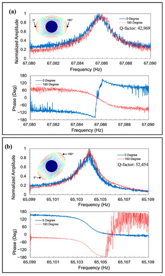 Multi-Ring Disk Resonator with Elliptic Spokes for Frequency-Modulated Gyroscope
