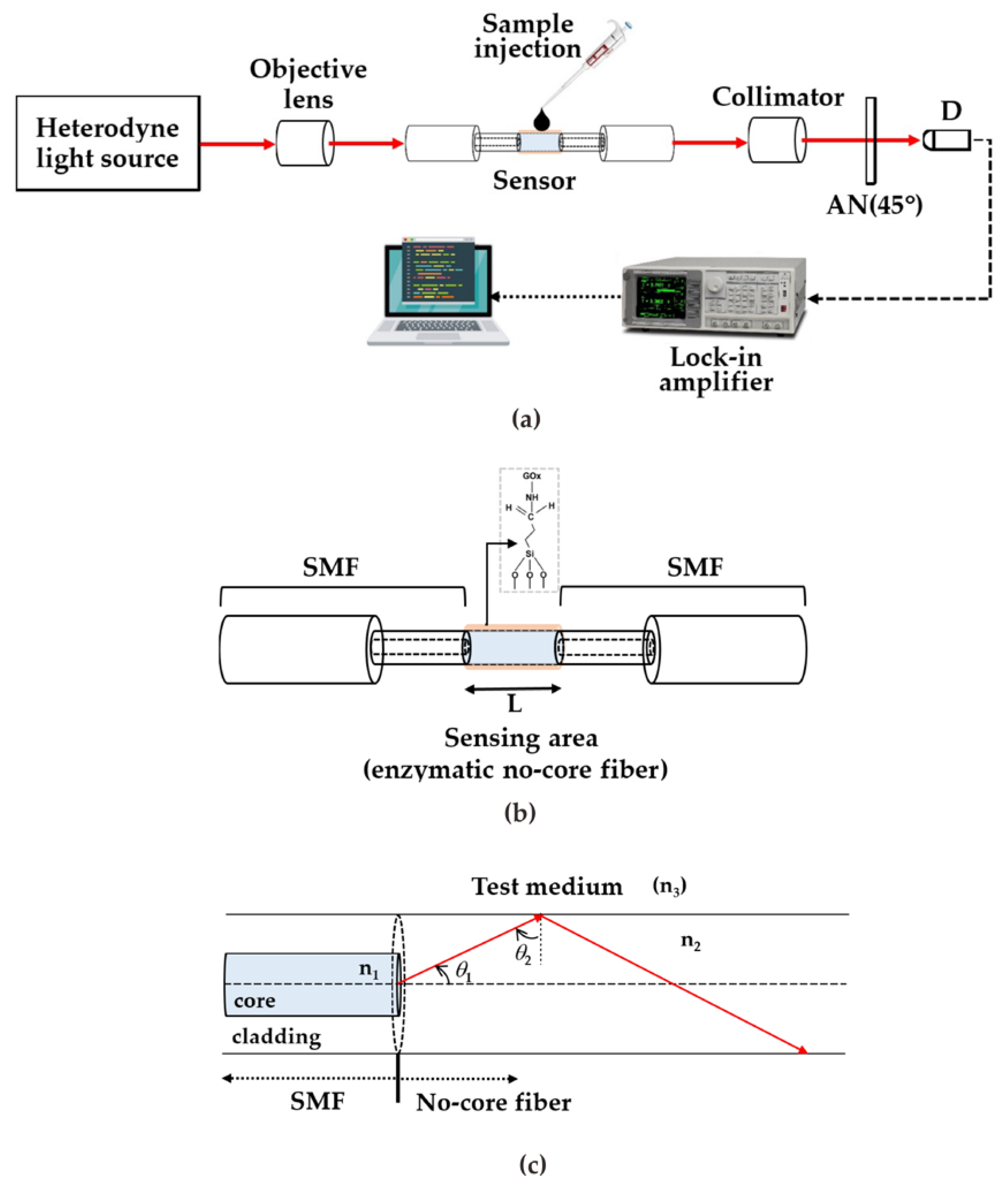 Enzymatic Glucose Fiber Sensor for Glucose Concentration Measurement with a Heterodyne ...