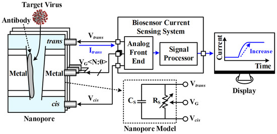 Design of a Current Sensing System with TIA Gain of 160 dBΩ and Input ...