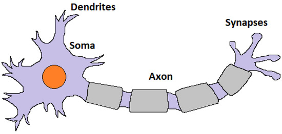 Sensors | Free Full-Text | Overview of Spiking Neural Network Learning ...