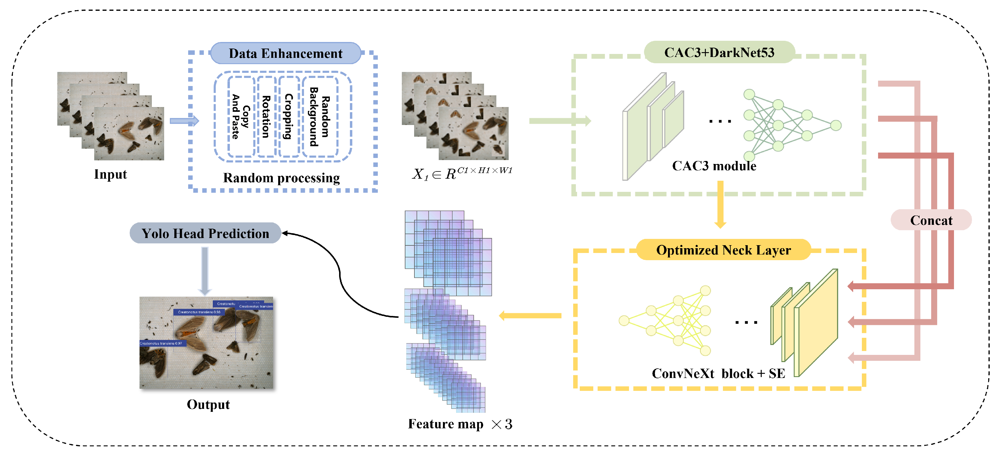 Yolo-Pest: An Insect Pest Object Detection Algorithm via CAC3 Module