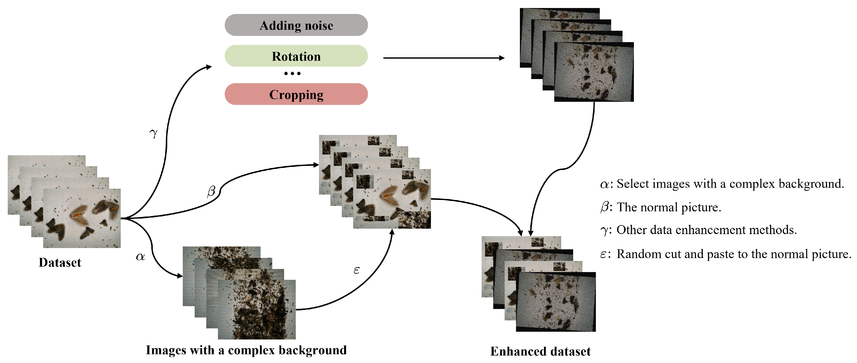 Yolo-Pest: An Insect Pest Object Detection Algorithm via CAC3 Module