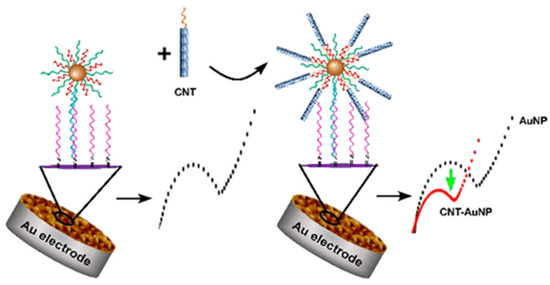 Modern Electrochemical Biosensing Based on Nucleic Acids and Carbon ...