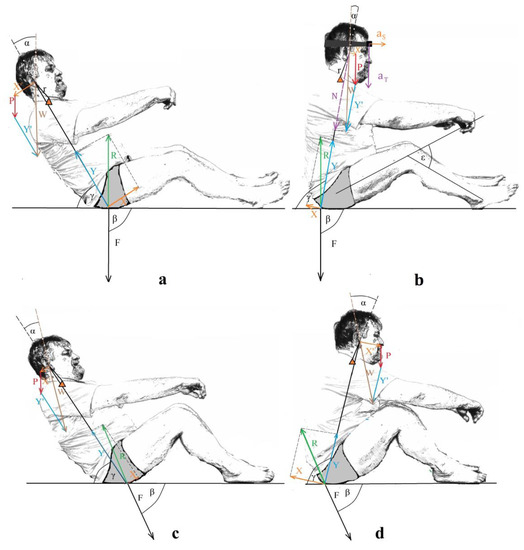 Influence of the Backward Fall Technique on the Transverse Linear ...
