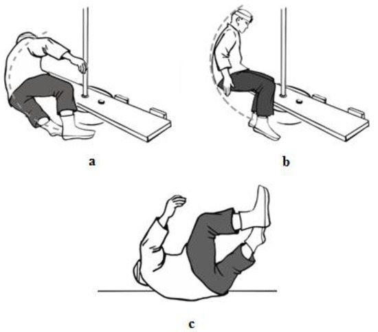 Influence of the Backward Fall Technique on the Transverse Linear ...
