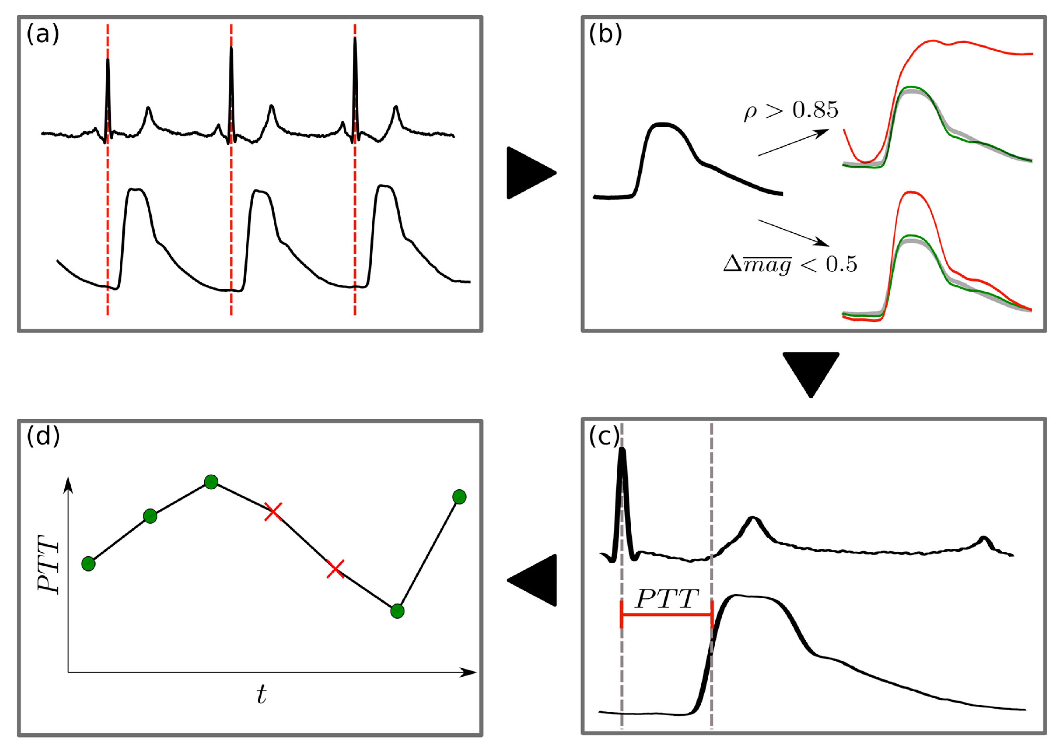 Intraoperative Beat-to-Beat Pulse Transit Time (PTT) Monitoring via Non ...