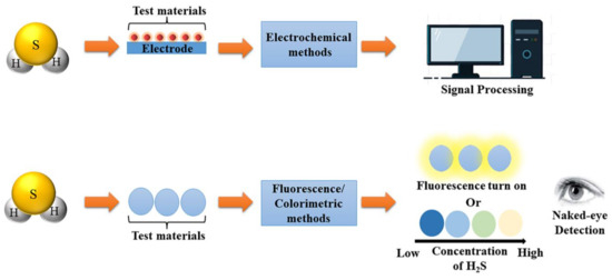 Review of Chemical Sensors for Hydrogen Sulfide Detection in Organisms ...