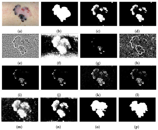 A Two-Stage Automatic Color Thresholding Technique