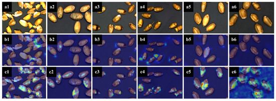 Segmentation of Unsound Wheat Kernels Based on Improved Mask RCNN