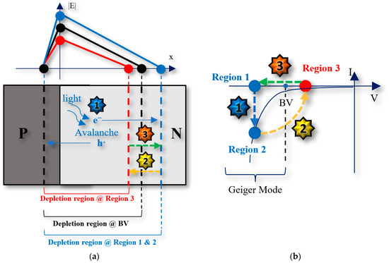 Sensors | Free Full-Text | Modeling for Single-Photon Avalanche Diodes: State-of-the-Art and ...