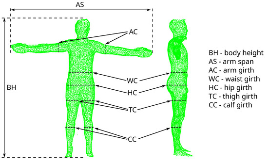System for Estimation of Human Anthropometric Parameters Based on Data from Kinect v2 Depth Camera