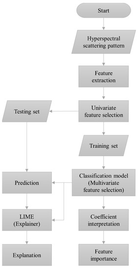 Bacterial Colony Phenotyping with Hyperspectral Elastic Light ...