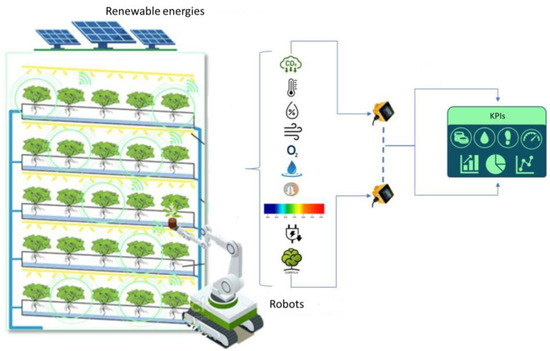 Vertical Farming Monitoring: How Does It Work and How Much Does It Cost?