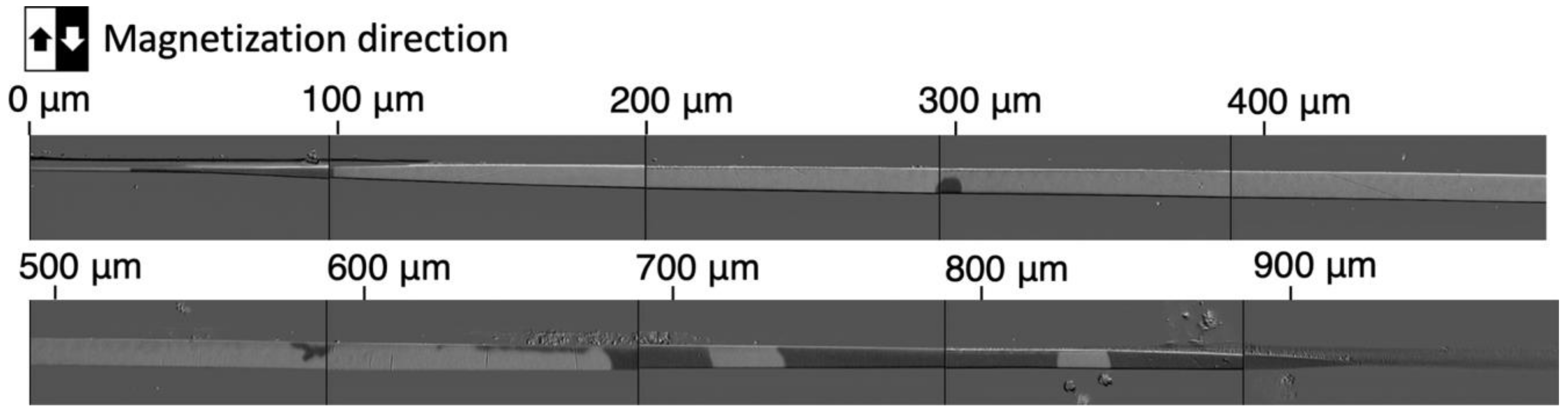 Observation of Magnetic Domains in Amorphous Magnetic Wires with a ...