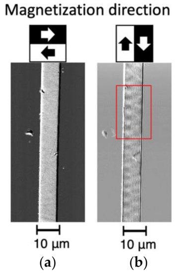 Observation of Magnetic Domains in Amorphous Magnetic Wires with a ...
