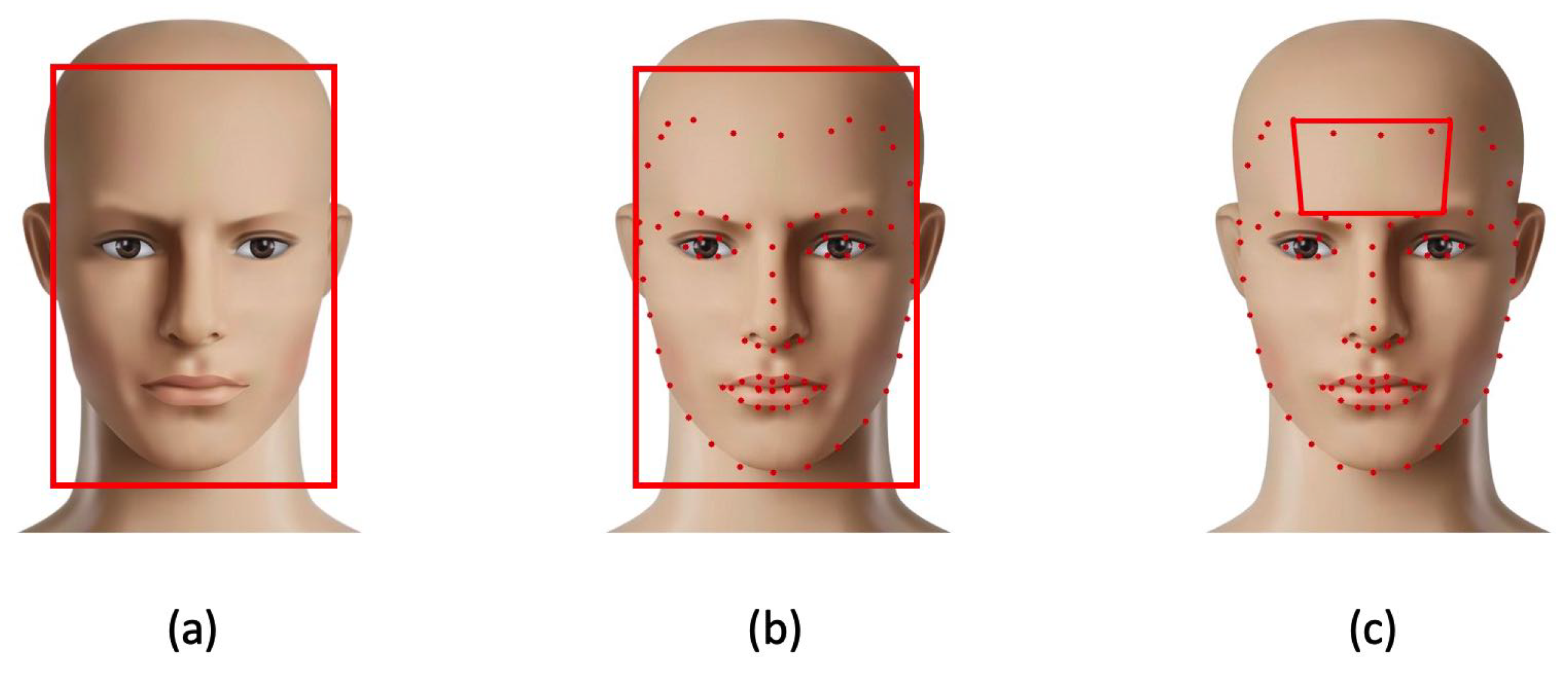 Benchmarking of Contactless Heart Rate Measurement Systems in ARM-Based ...