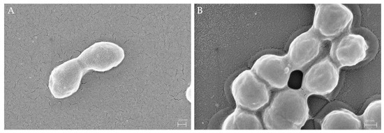 Molecularly Imprinted Nanoparticle Ensembles for Rapidly Identifying S ...