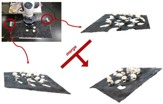 Sensors | Free Full-Text | Mushroom Detection and Three Dimensional Pose Estimation from Multi ...