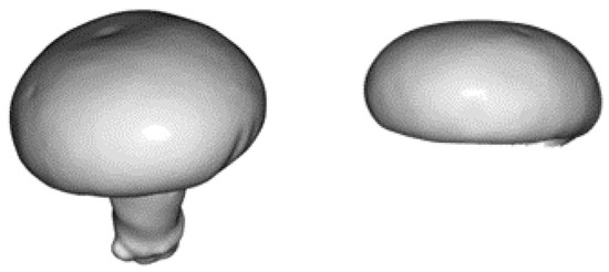 Mushroom Detection and Three Dimensional Pose Estimation from Multi-View Point Clouds