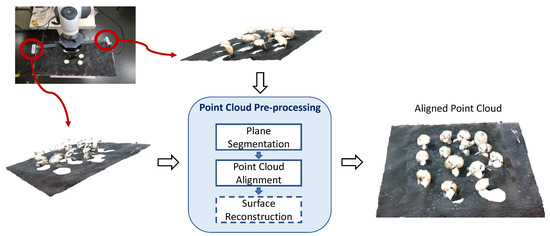 Mushroom Detection and Three Dimensional Pose Estimation from Multi-View Point Clouds