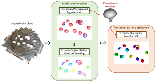 Mushroom Detection and Three Dimensional Pose Estimation from Multi-View Point Clouds