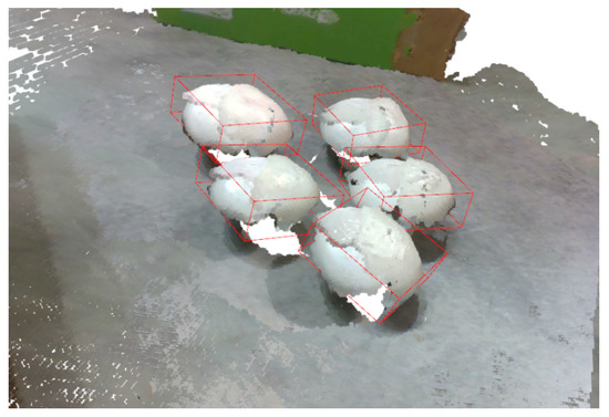 Mushroom Detection and Three Dimensional Pose Estimation from Multi-View Point Clouds