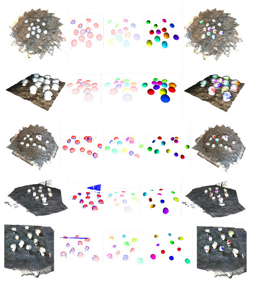 Mushroom Detection and Three Dimensional Pose Estimation from Multi-View Point Clouds