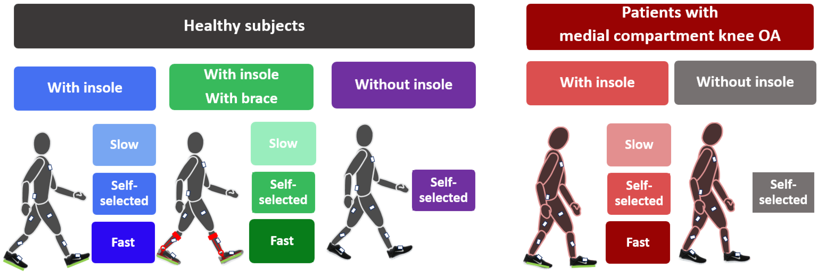 Sensors | Free Full-Text | Automatic Body Segment and Side Recognition of an Inertial ...
