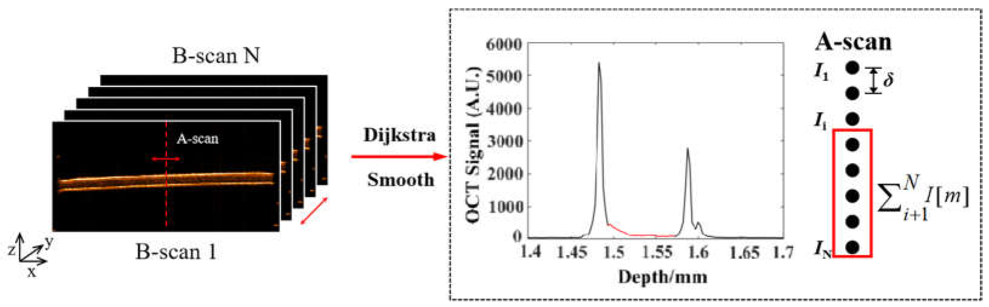 Sensors | Free Full-Text | Multiparametric Quantitative Analysis of Photodamage to Skin Using ...