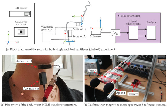 Pilot Study: Magnetic Motion Analysis for Swallowing Detection Using MEMS Cantilever Actuators