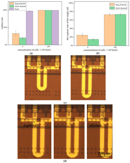Single-Cell Isolation Microfluidic Chip Based on Thermal Bubble ...
