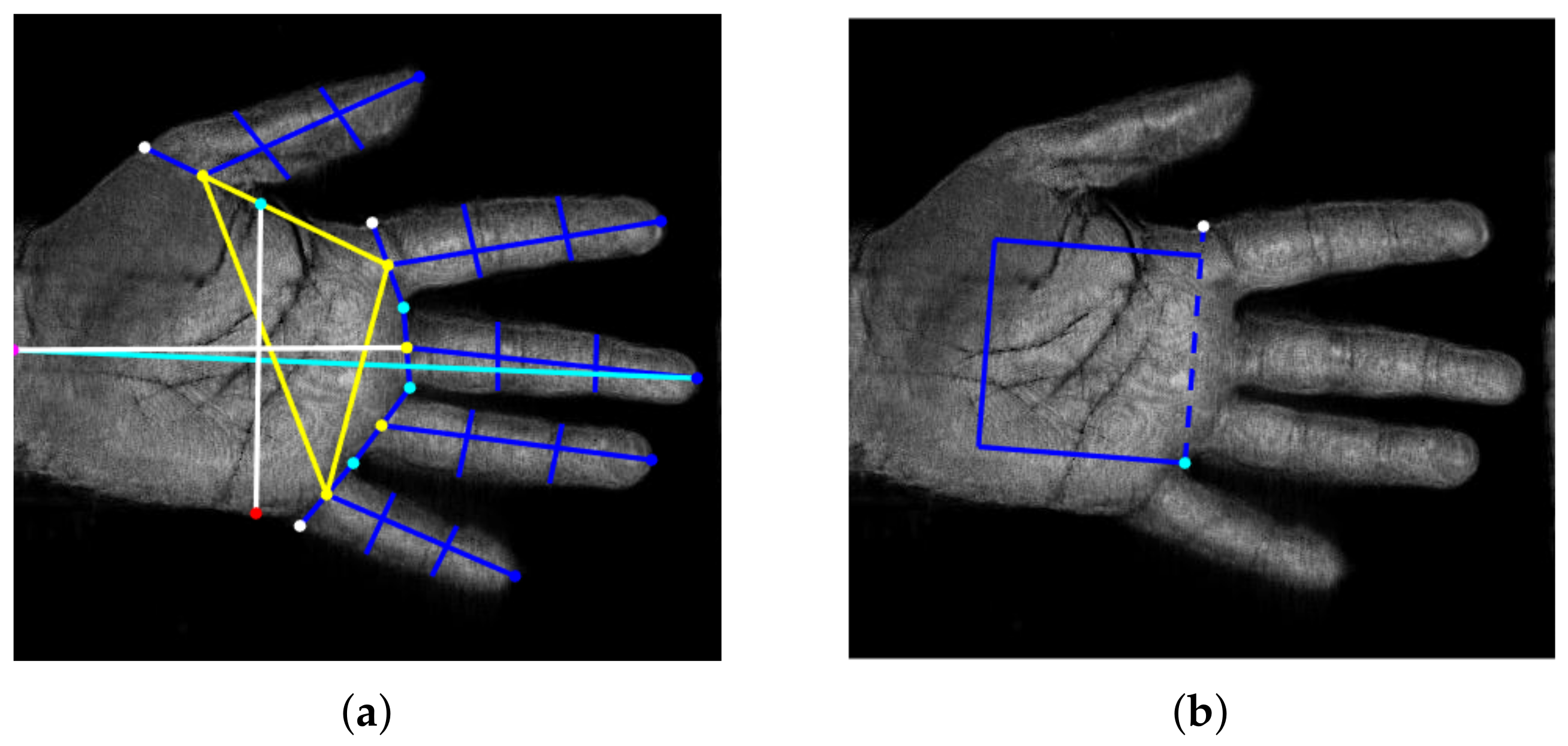 Sensors Free Full Text Recognition Performance Analysis Of A Multimodal Biometric System