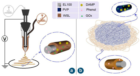 A Sequential Electrospinning of a Coaxial and Blending Process for ...
