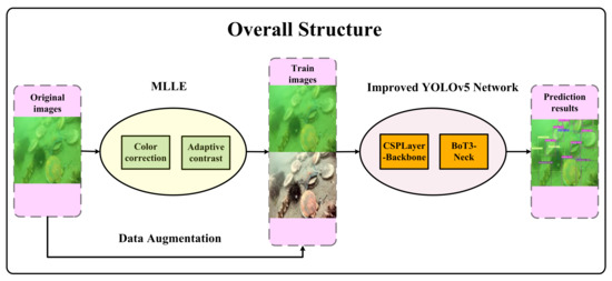 Sensors | Free Full-Text | An Improved YOLOv5-Based Underwater Object-Detection Framework