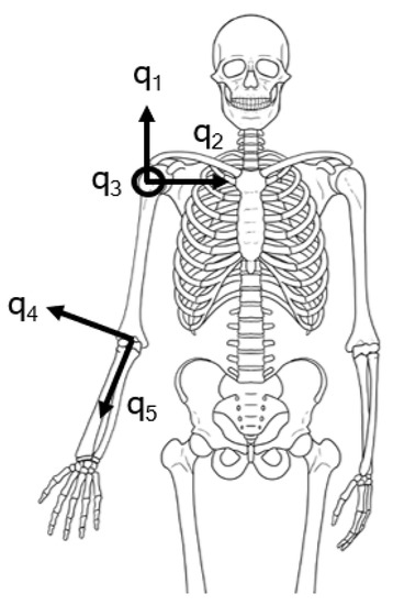 A Multi-Modal Under-Sensorized Wearable System for Optimal Kinematic ...