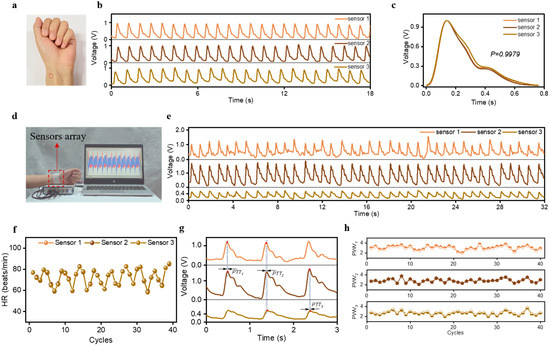 Flexible Sensors Array Based on Frosted Microstructured Ecoflex Film ...