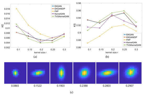 Kernel Estimation Using Total Variation Guided GAN for Image Super-Resolution
